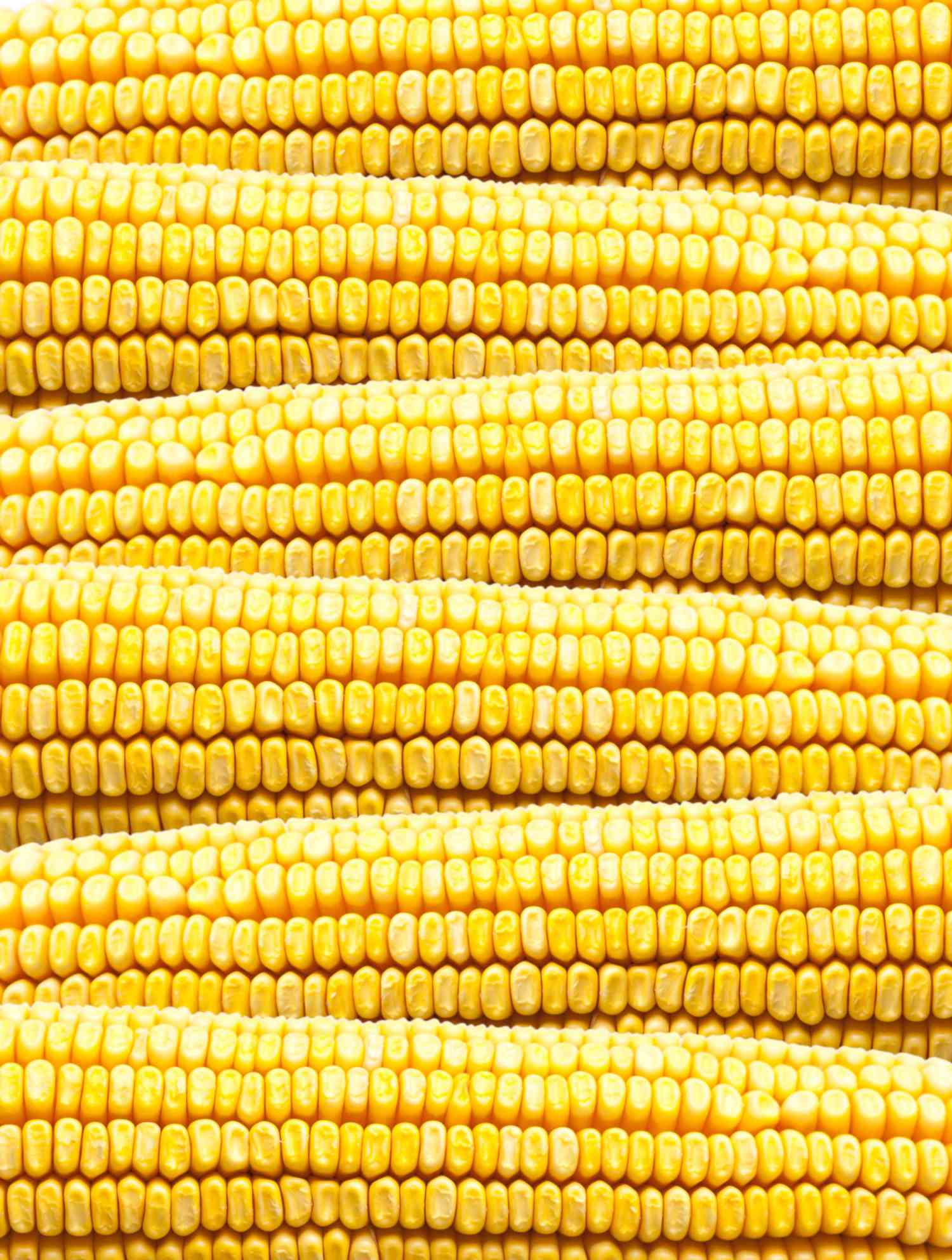 WAR On Mexico For Refusing To Grow, Import Any More GMO Corn ...