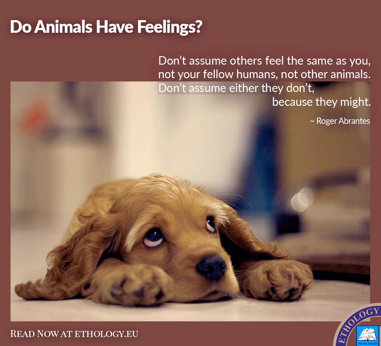 And Many People Think Animals Don’t Have Emotions. - FUTURISTIC ...