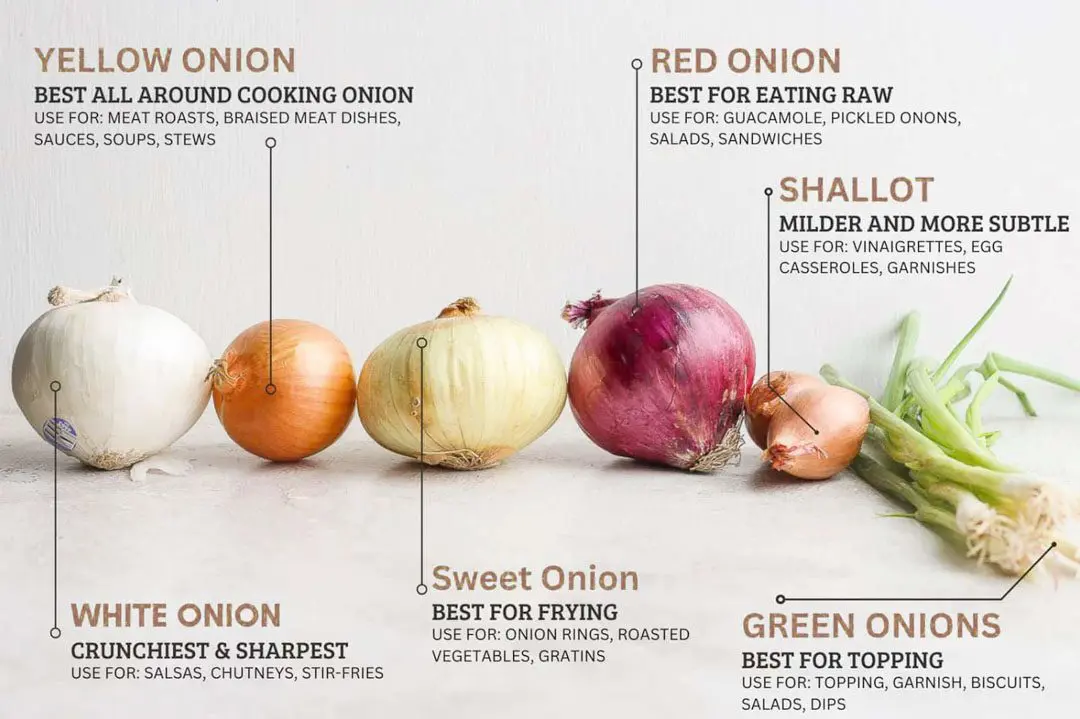 Study: Onion Varieties With The Strongest Flavor - FUTURISTIC MAHOGANY ...