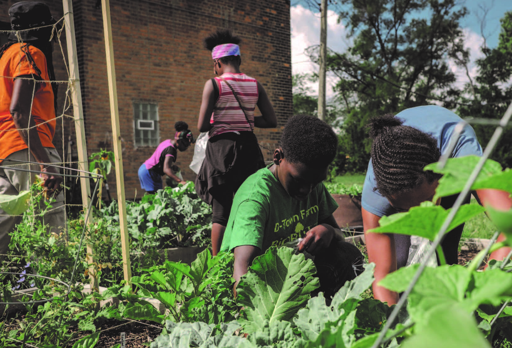 Navigating Farm and Ranch Transfers to a New Generation - FUTURISTIC ...